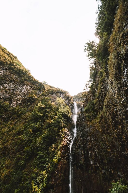 Porrete De Madeira Flutuante